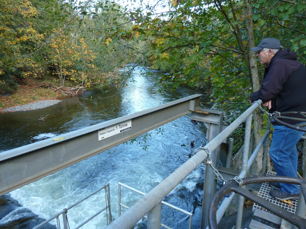 Fall is here. Article submitted by Parksville Qualicum Beach Tourism ...